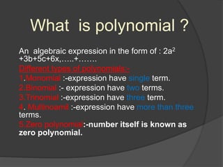 Polynomials | PPTX