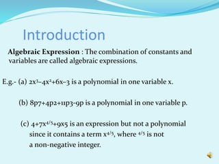Polynomials | PPTX