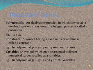 Polynomials | PPTX