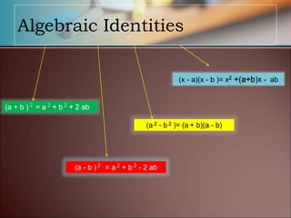 Polynomials | PPTX