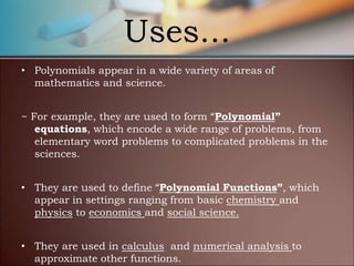 Polynomials | PPTX