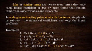 Polynomials | PPTX | Physics | Science