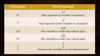 Polynomials | PPTX | Physics | Science
