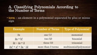 Polynomials | PPTX | Physics | Science