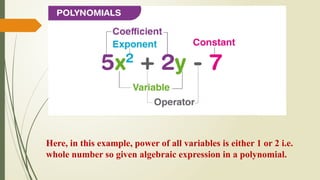 Mathematics Polynomials and is different types | PPT