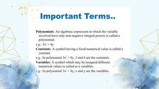 POLYNOMIALS CLASS 9.pdf