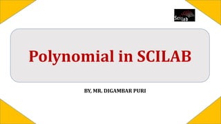 Polynomials in scilab | PDF