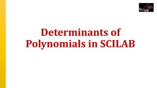 Polynomials in scilab | PDF