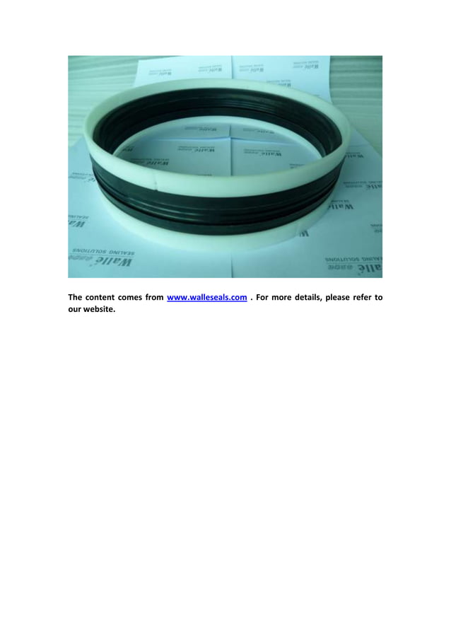 China Polypac selemaster dsm | DOC