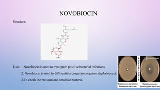 Antibiotics - Polypepetide Antibiotics | PPTX