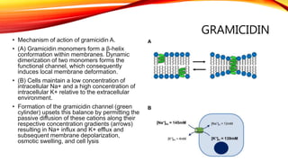 Polypeptides | PPTX