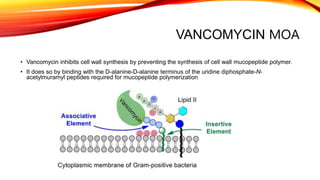 Polypeptides | PPTX | Chemistry | Science