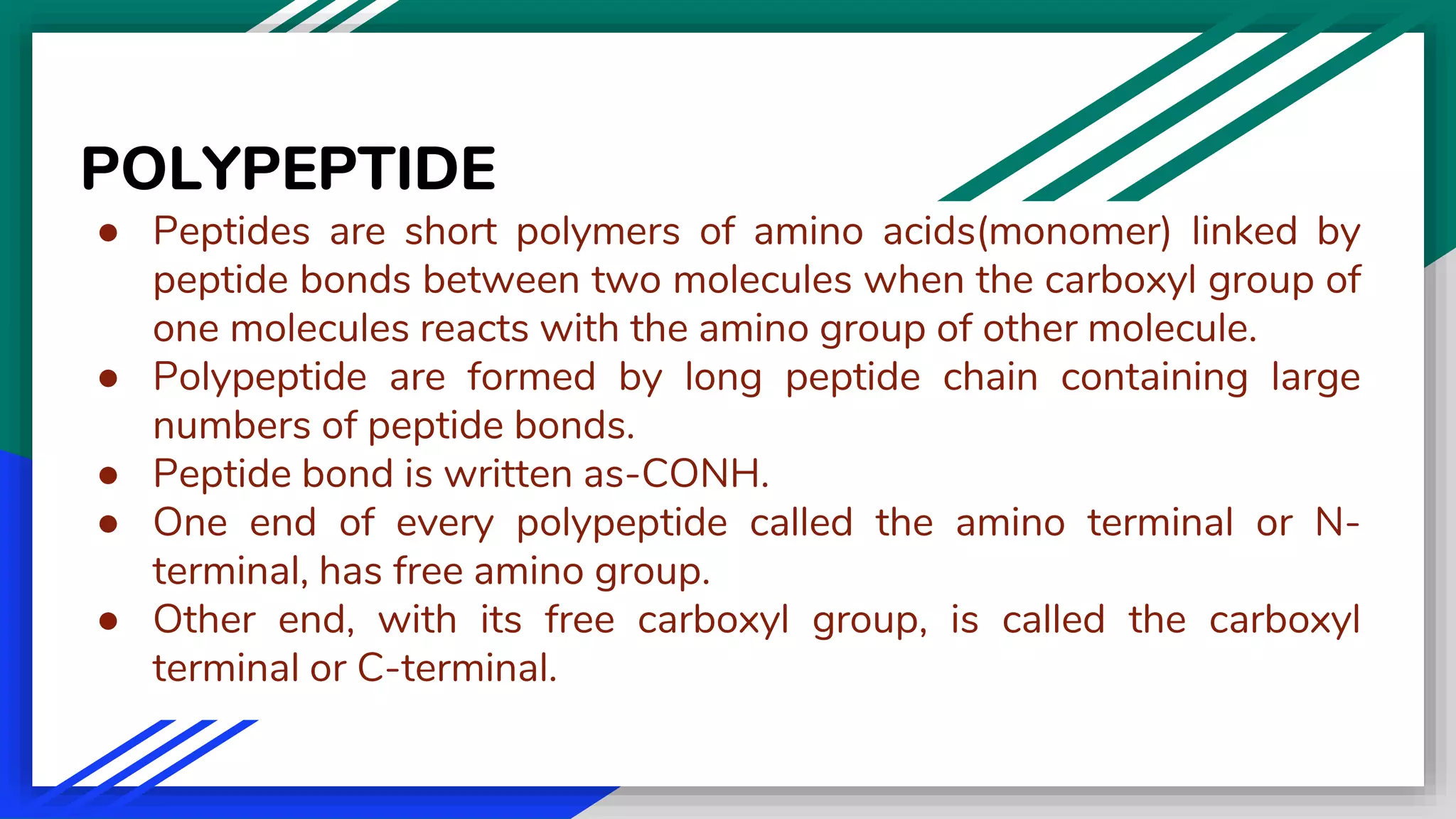 Polypeptides,peptides, types of peptides, structure of dipeptide, tripeptide and oligopeptide ...