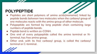 Polypeptides,peptides, types of peptides, structure of dipeptide ...