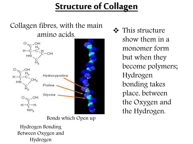 Polypeptides | PPTX | Chemistry | Science