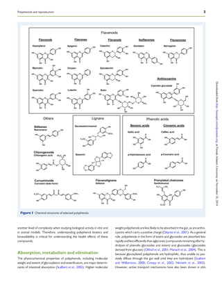 Polyphenols and pregnancy (1) | PDF