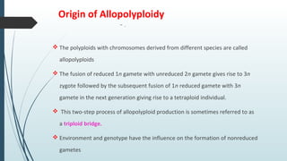 Polyploid | PPT