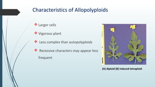 Polyploid | PPT
