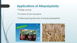 Polyploid | PPT