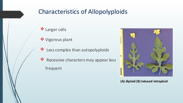 Polyploidy In Plants