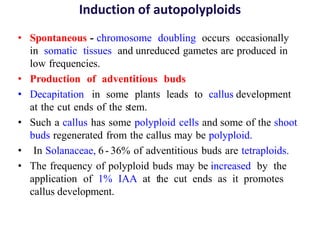 polyploids.ppt