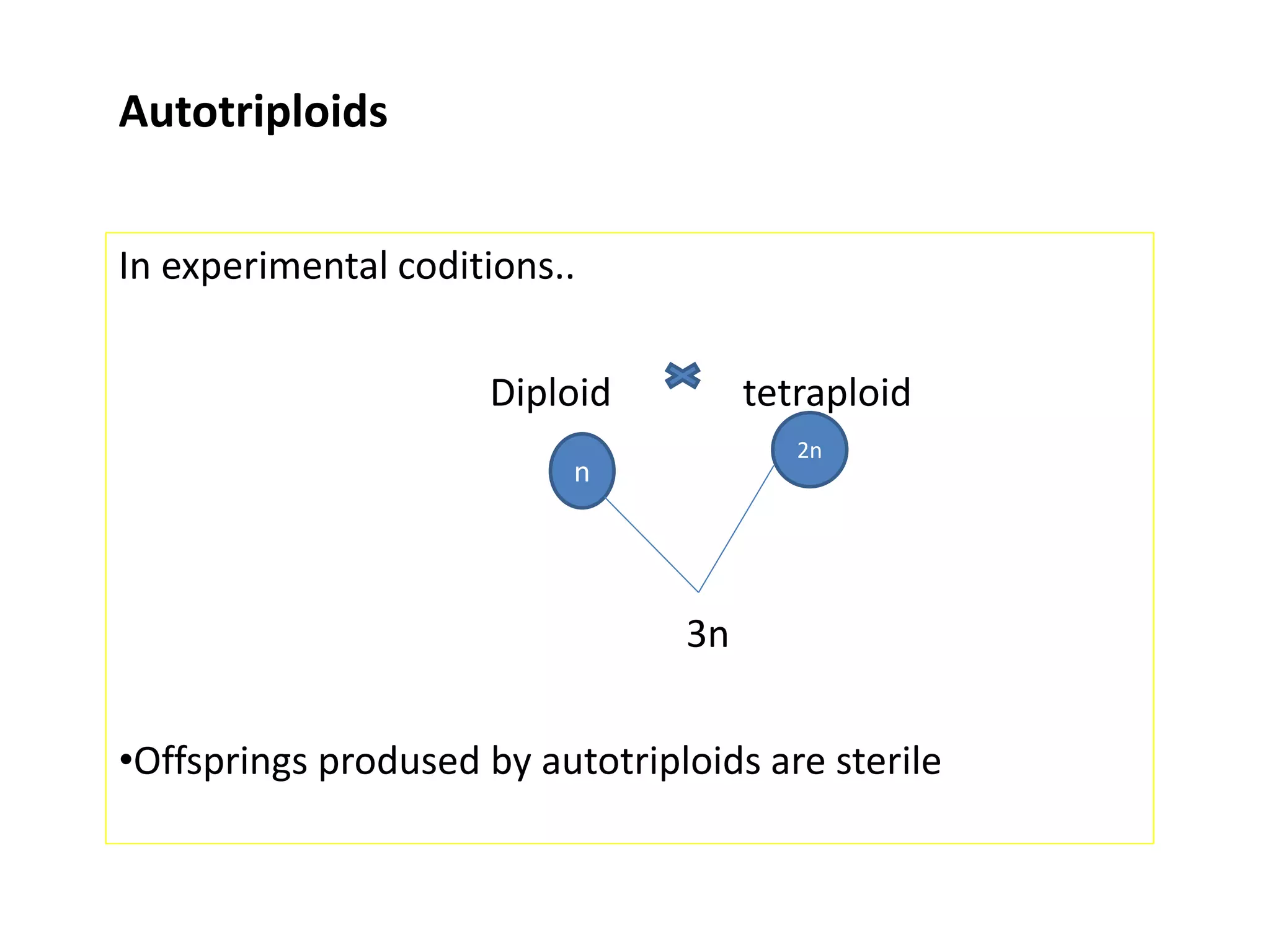 Polyploidy | PPTX