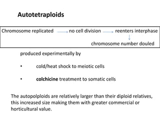 Polyploidy | PPTX