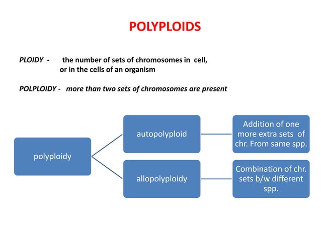 Polyploidy | PPTX