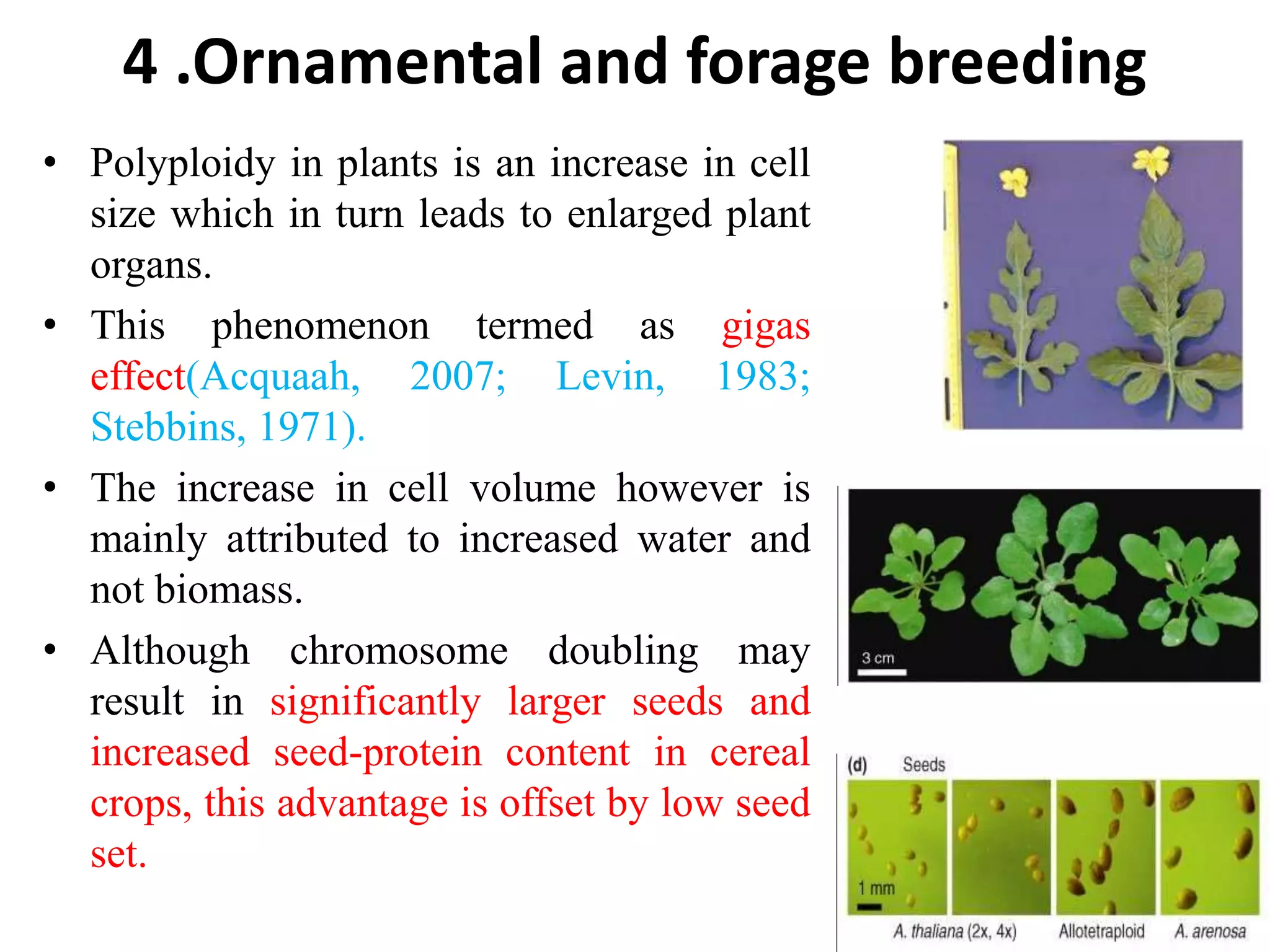 Polyploidy | PPTX