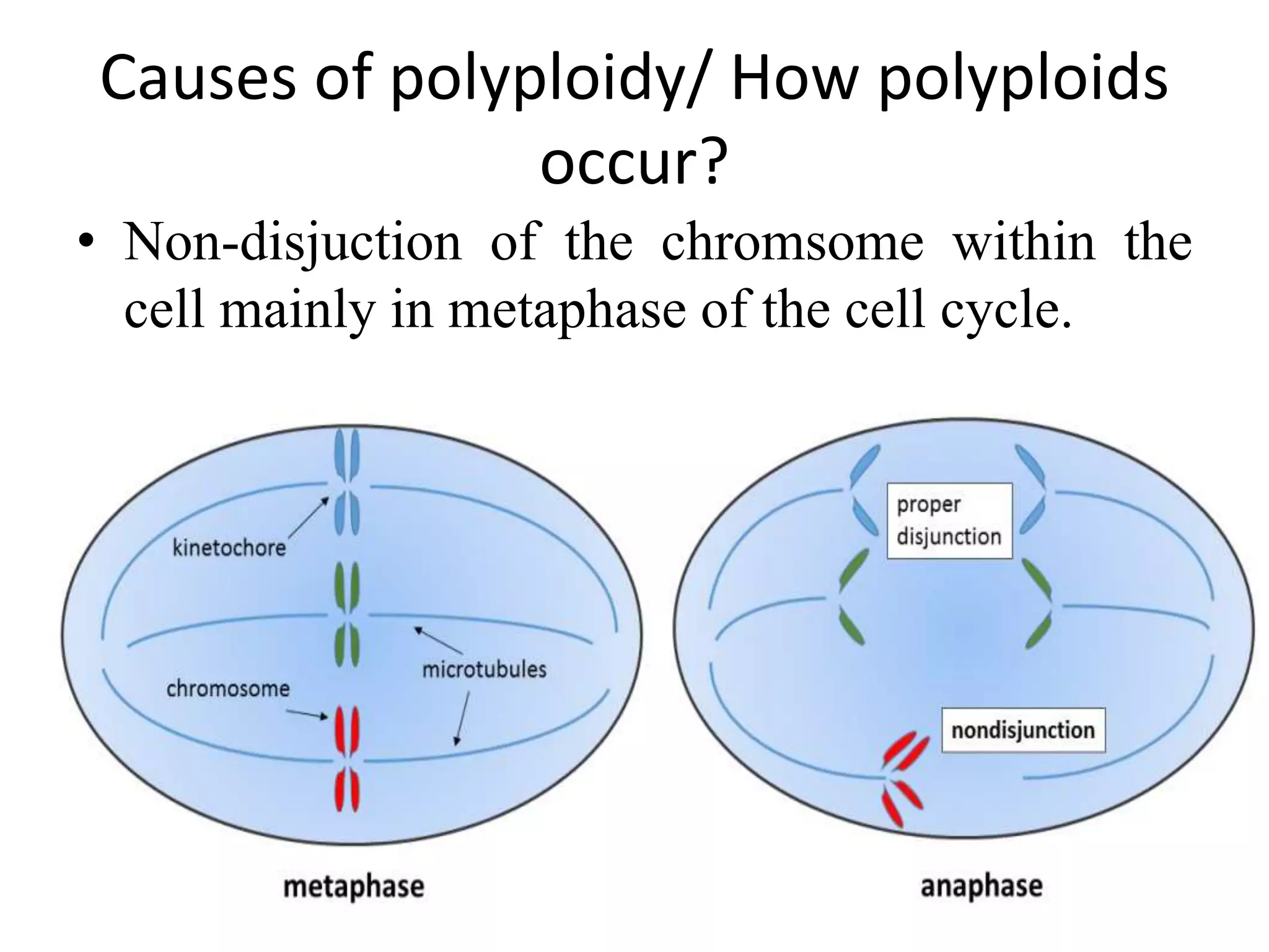 Polyploidy | PPTX