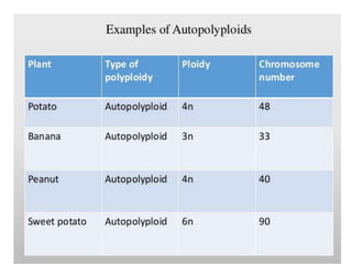 Polyploidy | PPTX