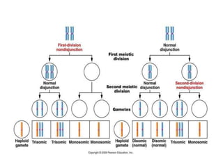 Polyploidy | PPTX