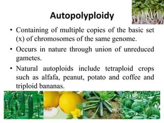 Polyploidy | PPTX