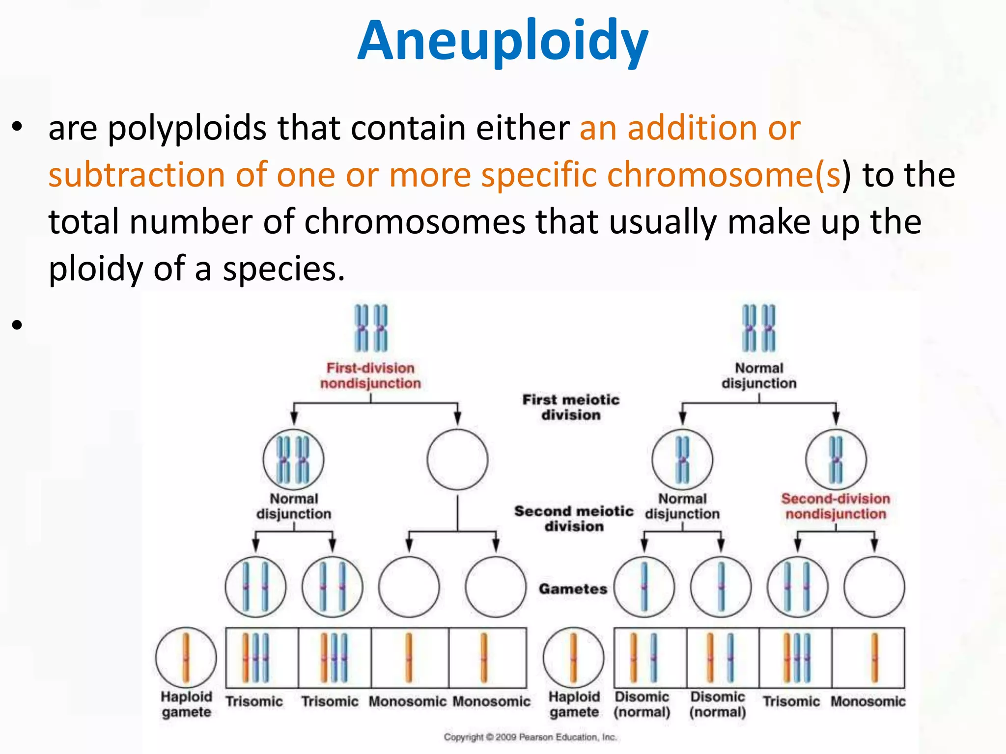 Polyploidy | PPTX