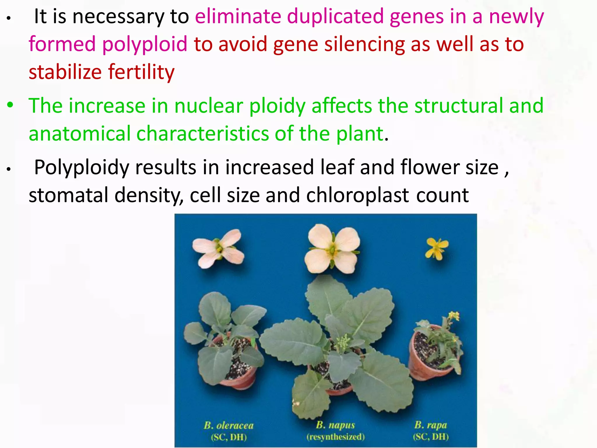 Polyploidy | PPTX