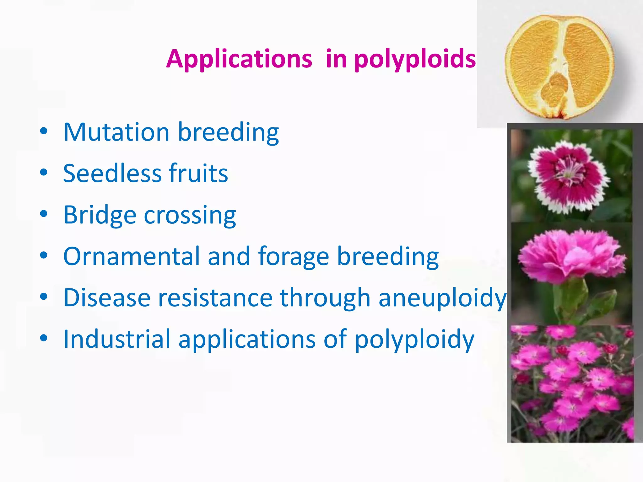 Polyploidy | PPTX | Gardening | Home & Garden