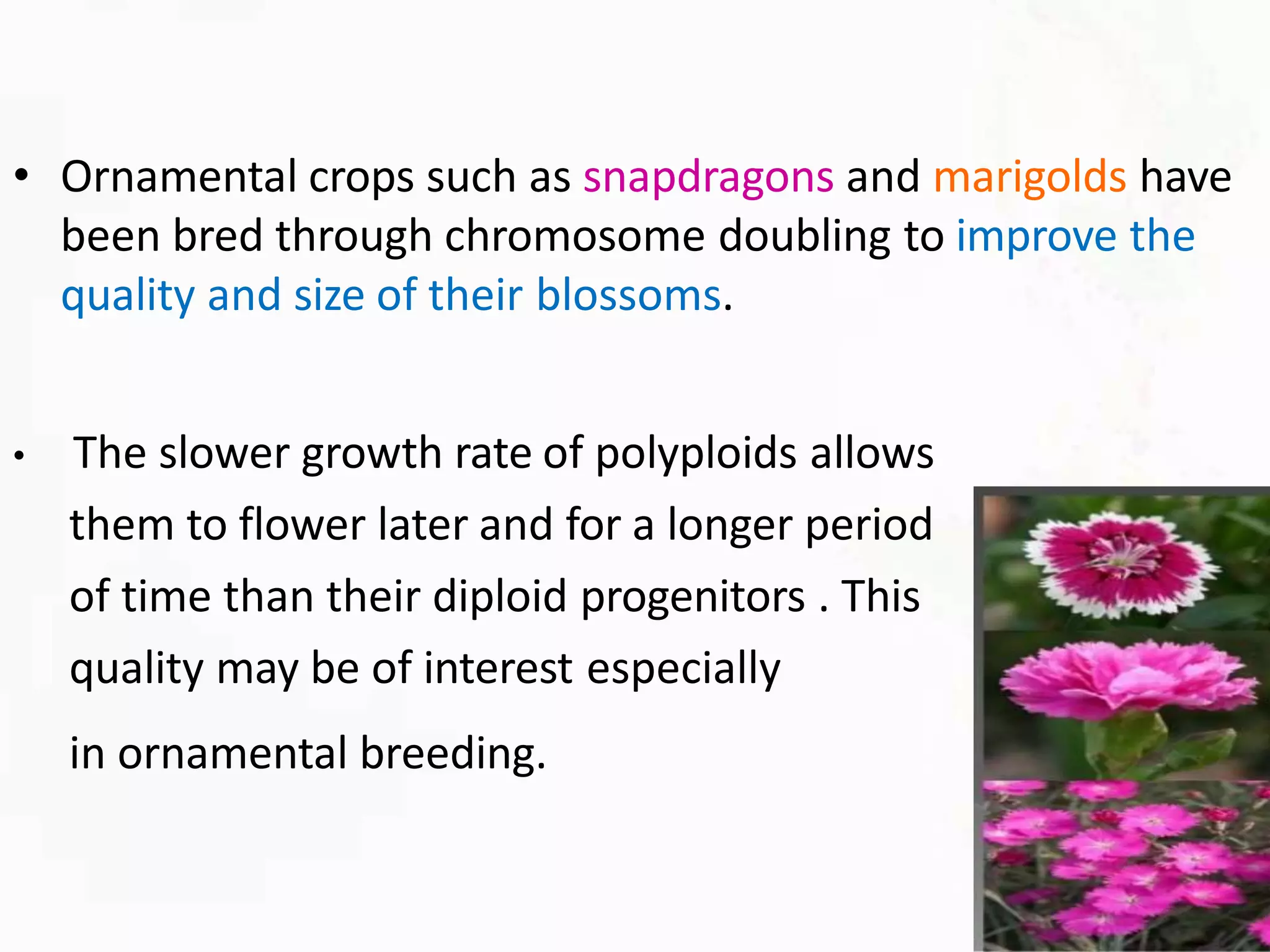 Polyploidy | PPTX | Gardening | Home & Garden