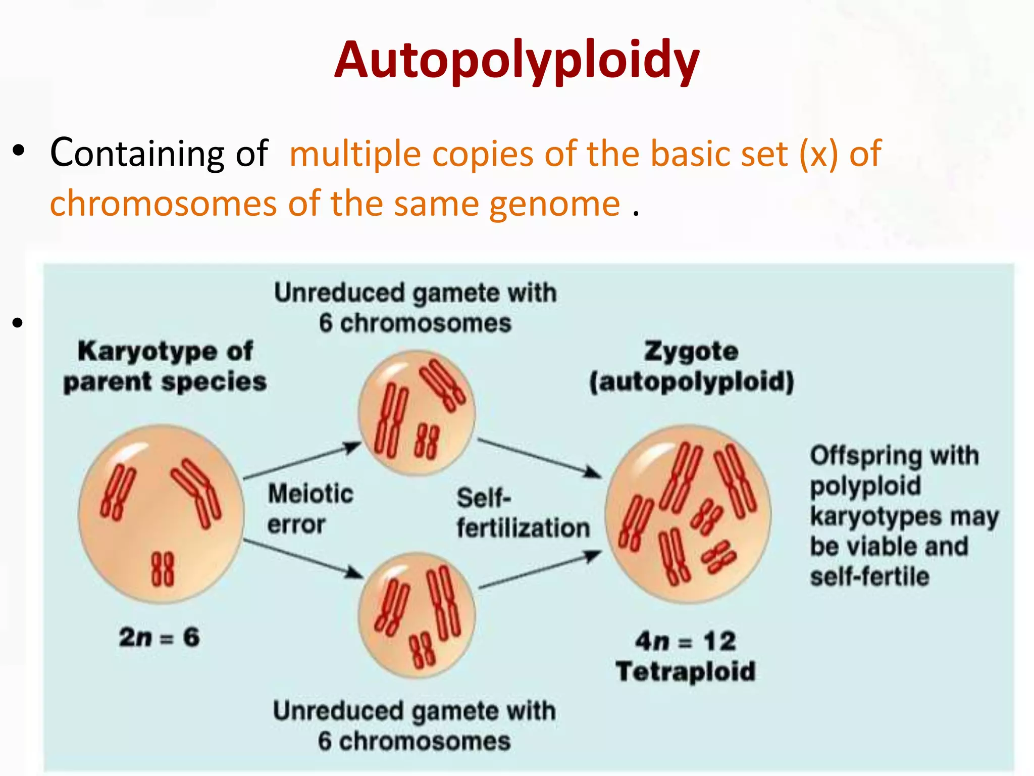 Polyploidy | PPTX