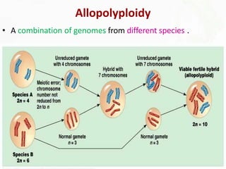 Polyploidy | PPTX
