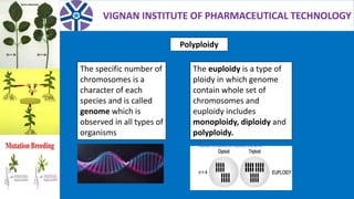 Plant Breeding Techniques | PPT