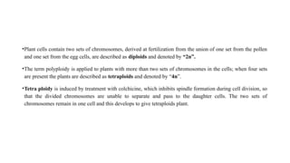 POLYPLOI vbn vn vbn vbn vb n n vbn DY.pptx