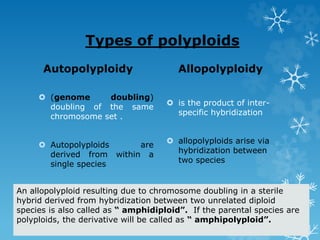 Polyploidy breeding | PPTX
