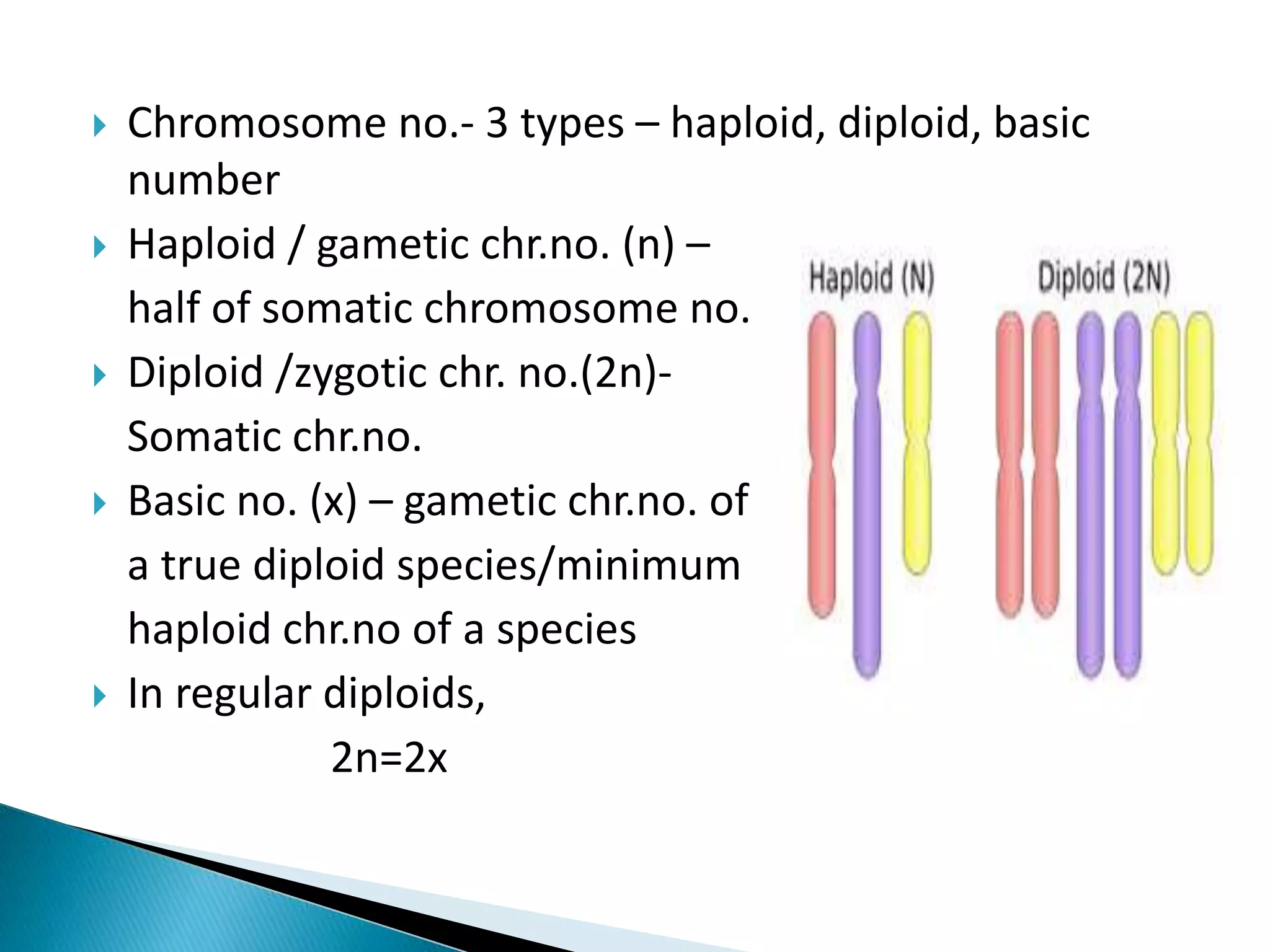 Polyploidy breeding | PPTX