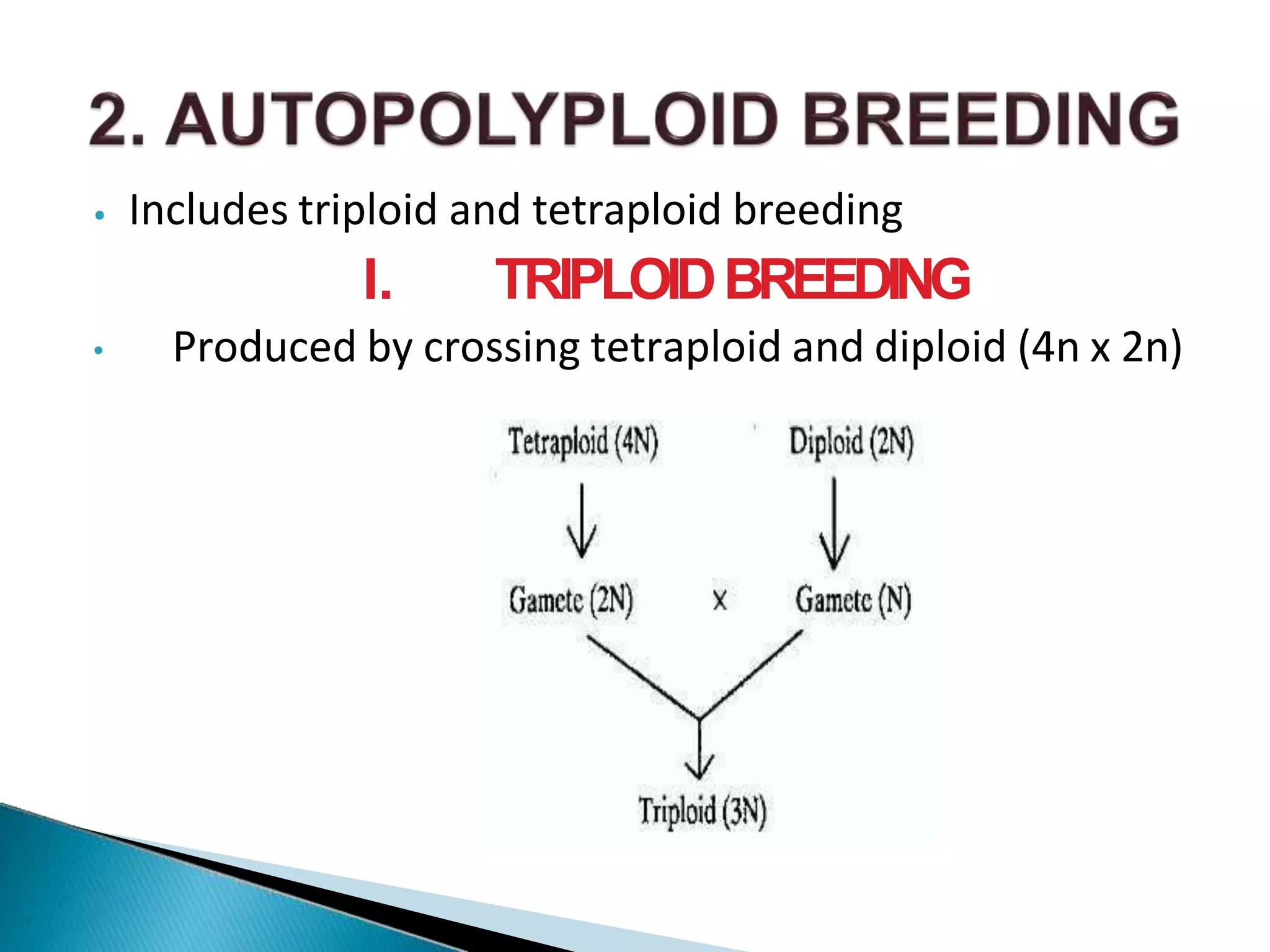 polyploidybreeding....pptx