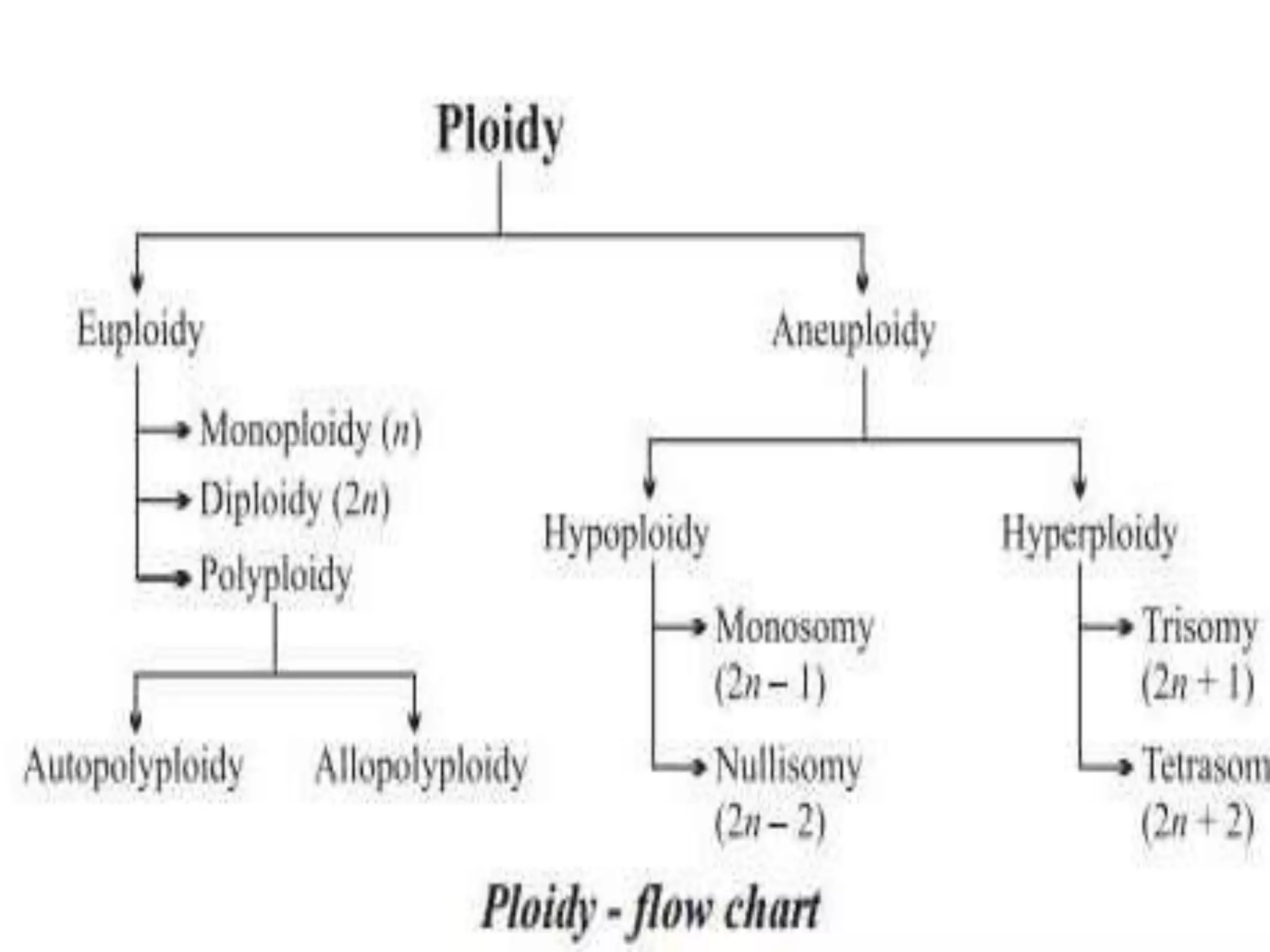 polyploidybreeding....pptx