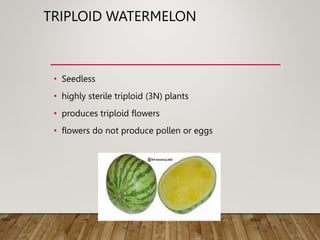 polyploidy ..ppt