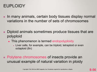 polyploidy ..ppt