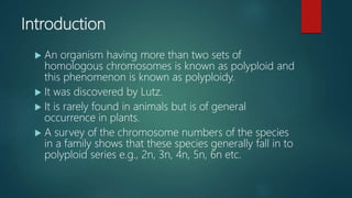 Polyploidy in ornamental crops | PPTX