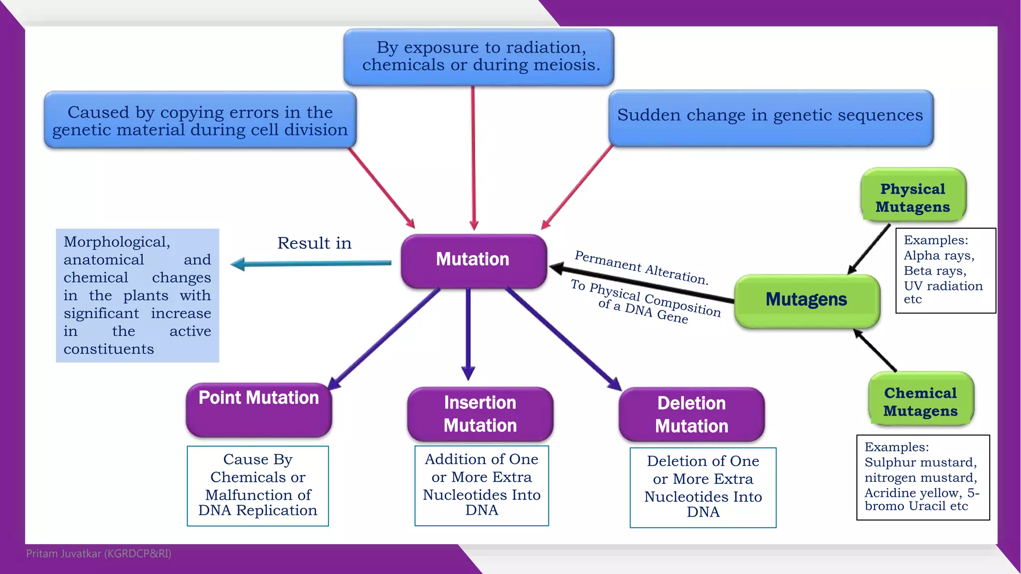 Polyploidy, mutation and hybridization with reference to medicinal ...