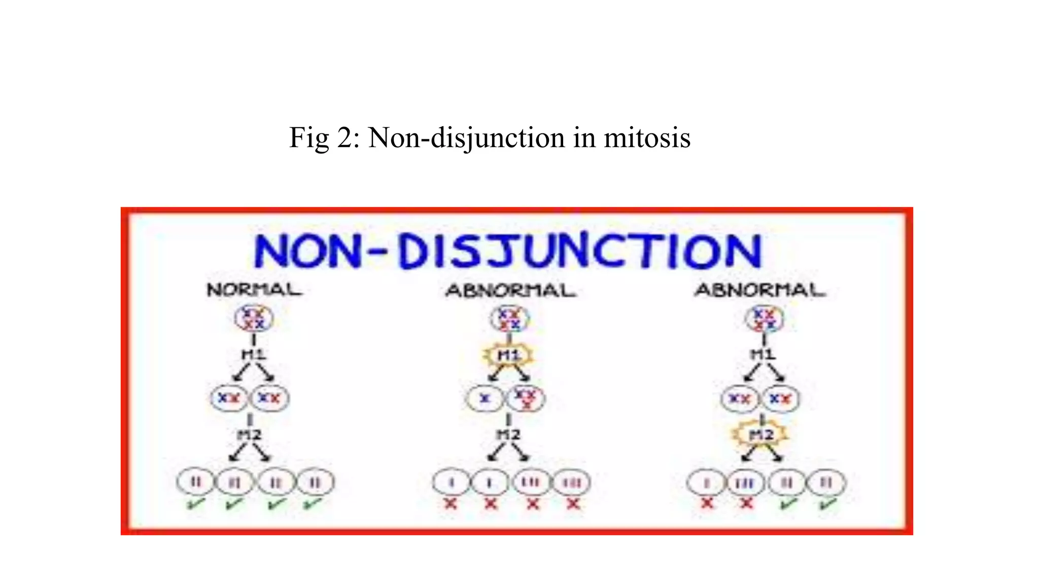 Polyploidy, mutation and hybridization with reference to medicinal ...